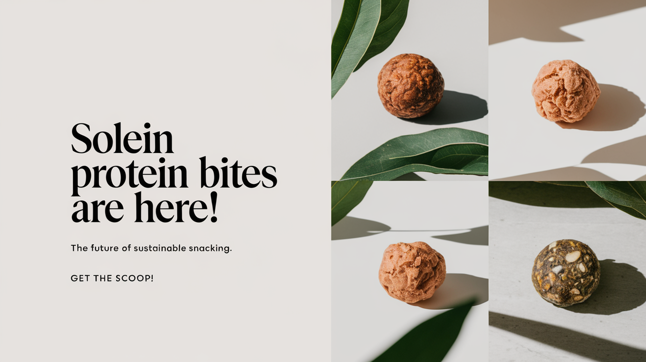 Solein Protein Bites Launch in the US - Cream Filled Churros